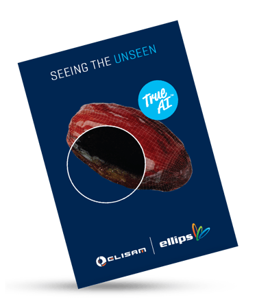 Ellips Group brochures