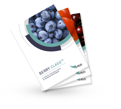 Elifab Brochure Download