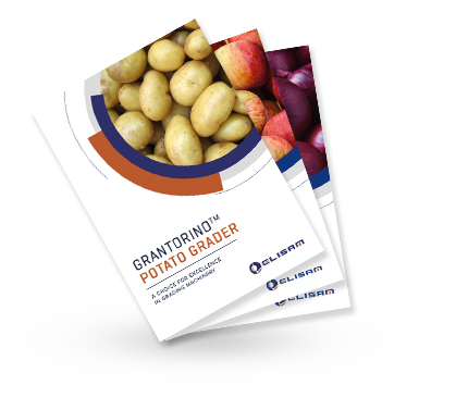 Ellips Brochure Download