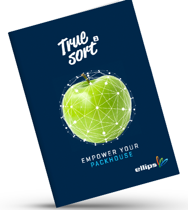 Ellips Brochure Download